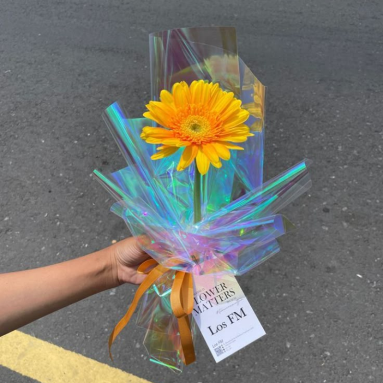 Celofán Iridiscente para envolver flores.