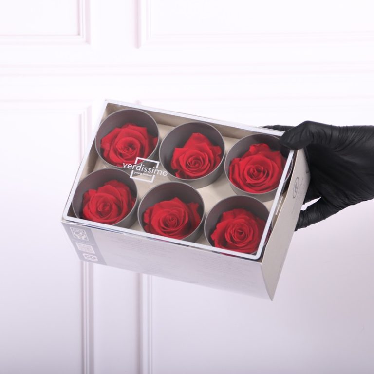 ROSAS ETERNAS PRESERVADAS