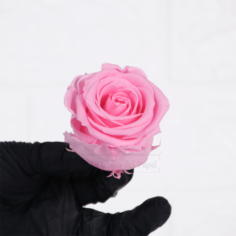 ROSAS ETERNAS PRESERVADAS