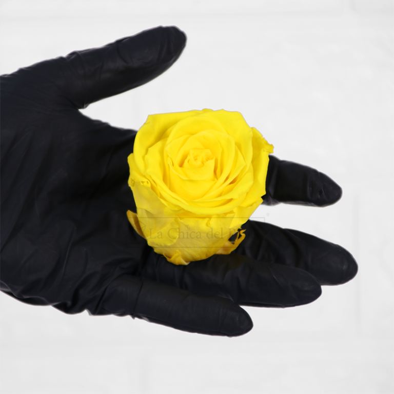ROSAS ETERNAS PRESERVADAS