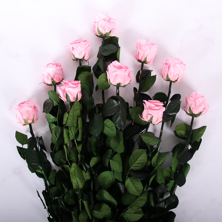 ROSA ETERNA CON TALLO
