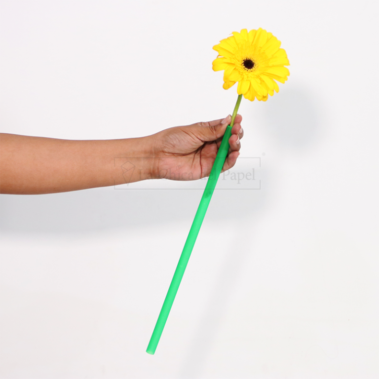 POPOTES DE PLÁSTICO PARA GERBERA